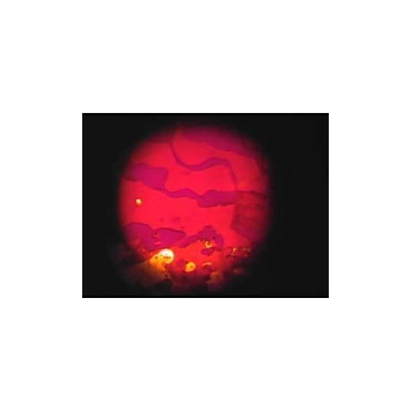 Opti Solar 250 Projector Effect - KSL Hire